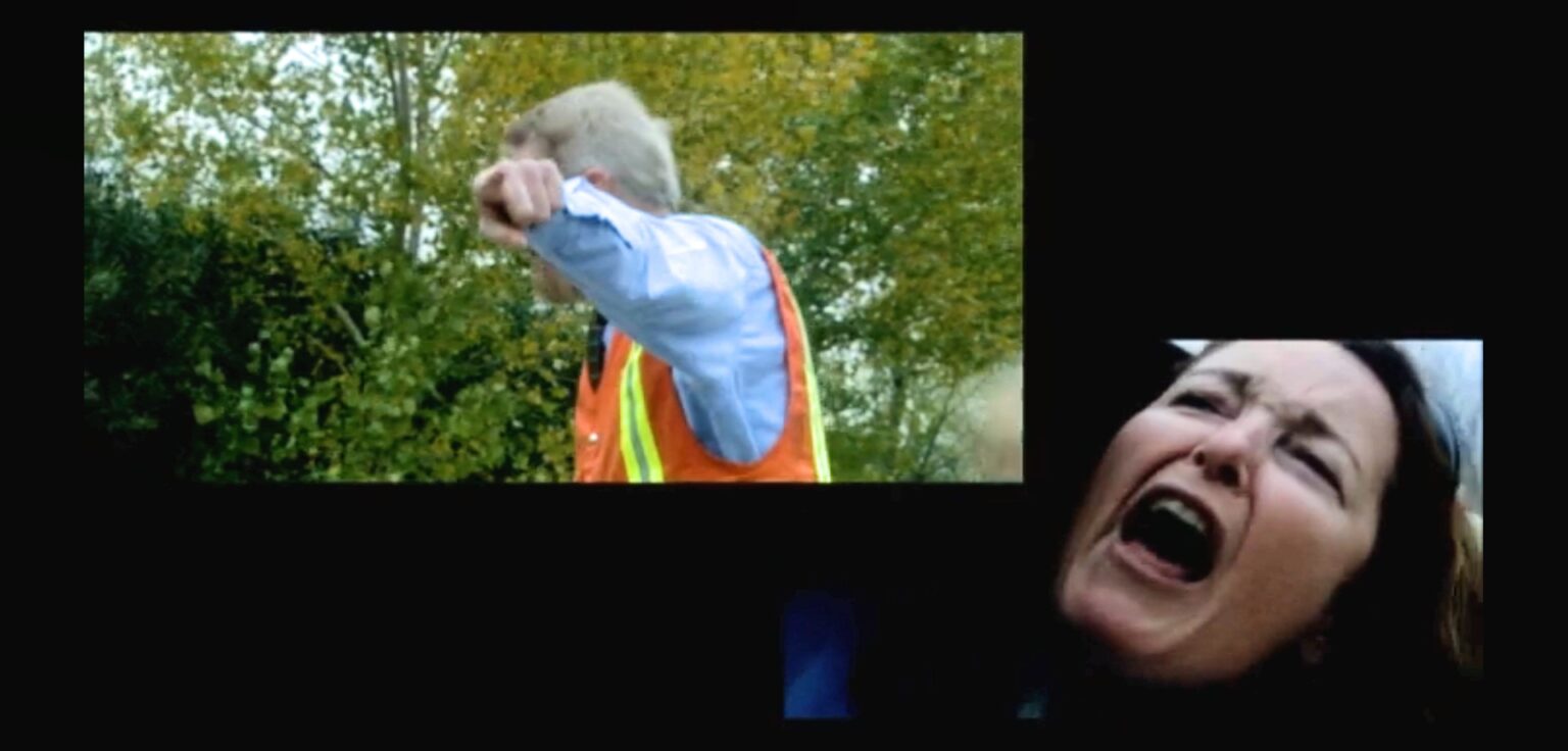 KatieBird *Certifiable Crazy Person (2005) Review - Cinematic Diversions