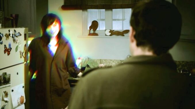 Singularity Principle (2013) Review - Cinematic Diversions