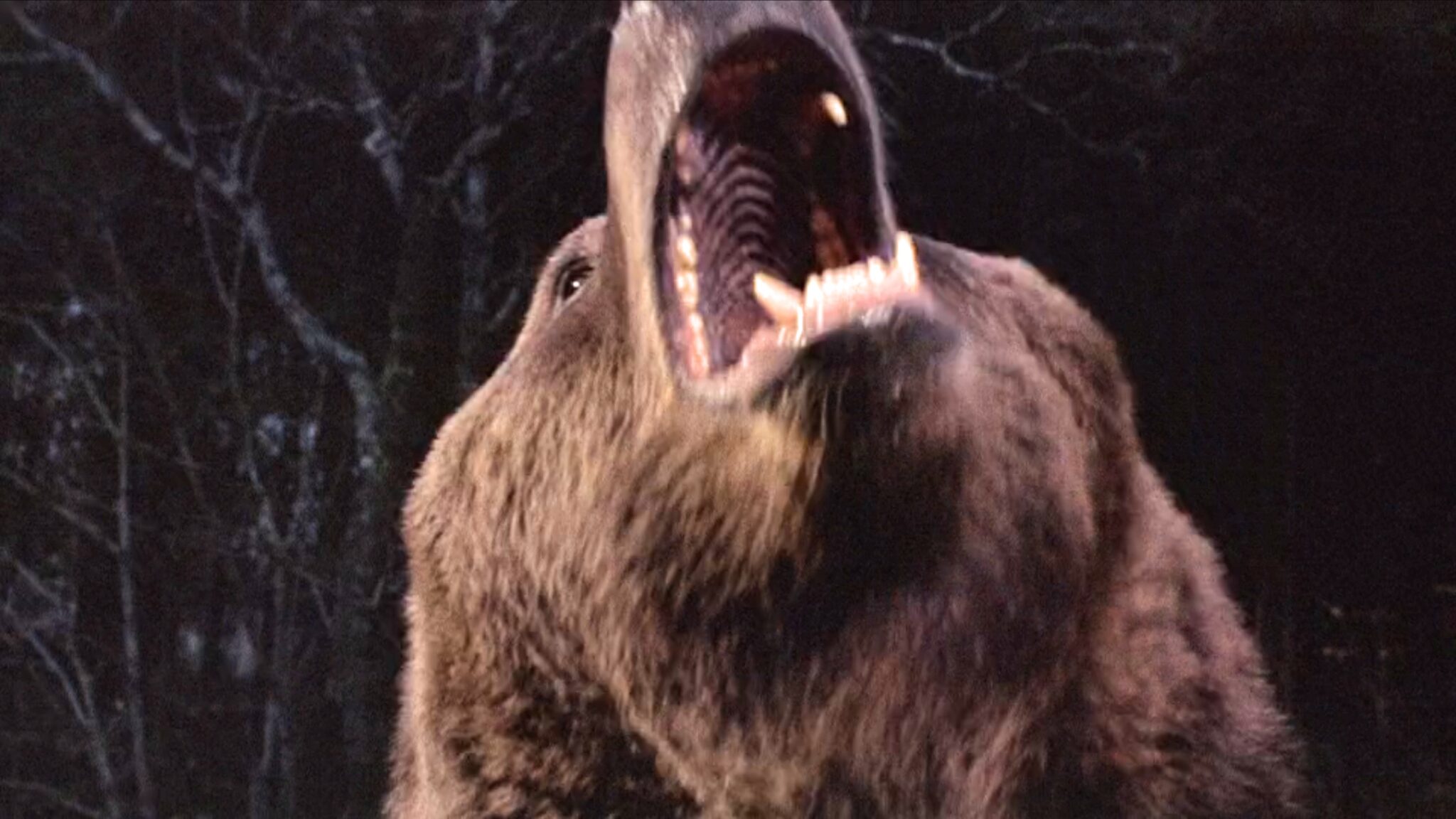 Grizzly (1976) Review with RiffTrax - Cinematic Diversions