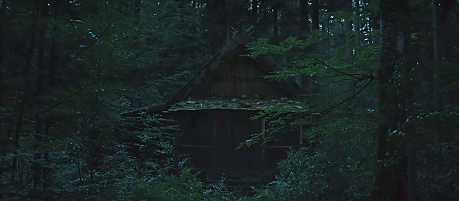 The Forest (2016) Review - Cinematic Diversions