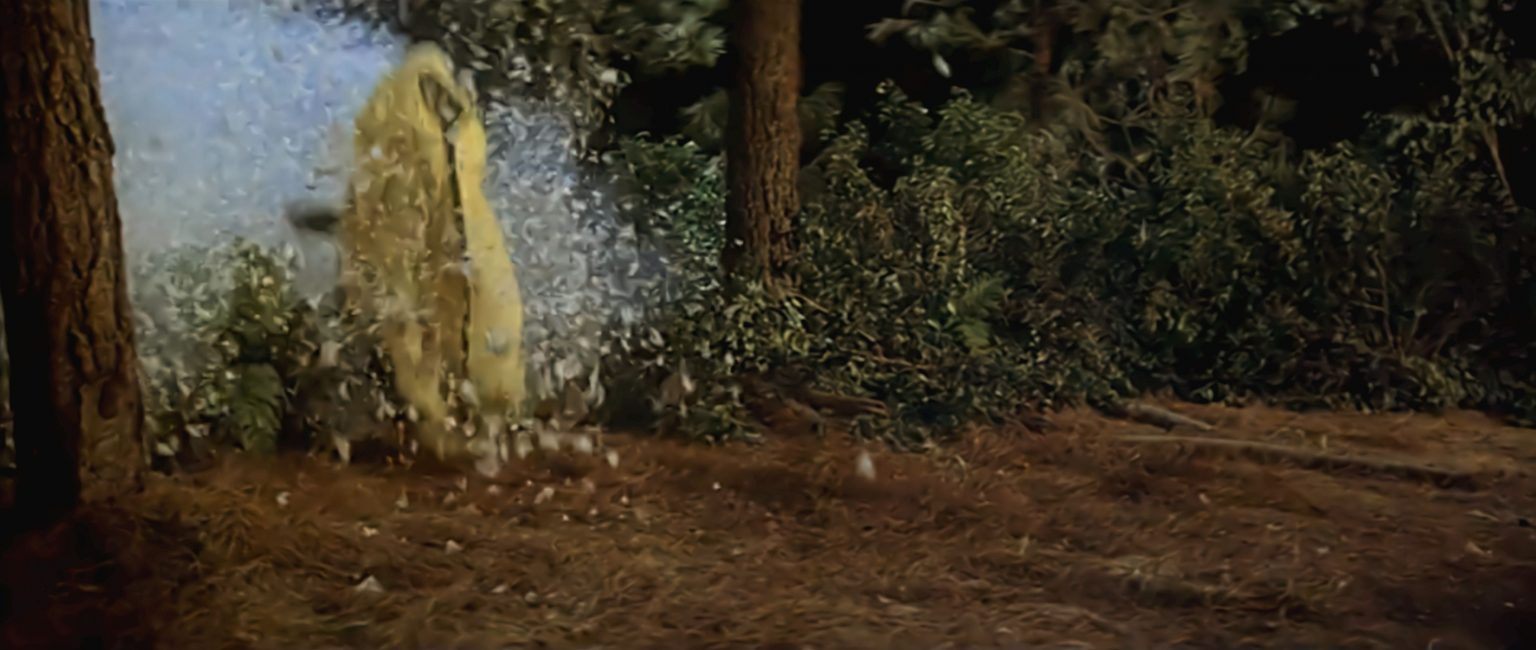 Prophecy (1979) Review - Cinematic Diversions
