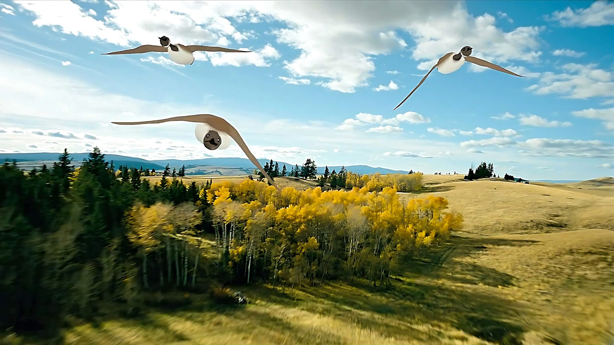 Legends of Flight (2010) Review - Cinematic Diversions